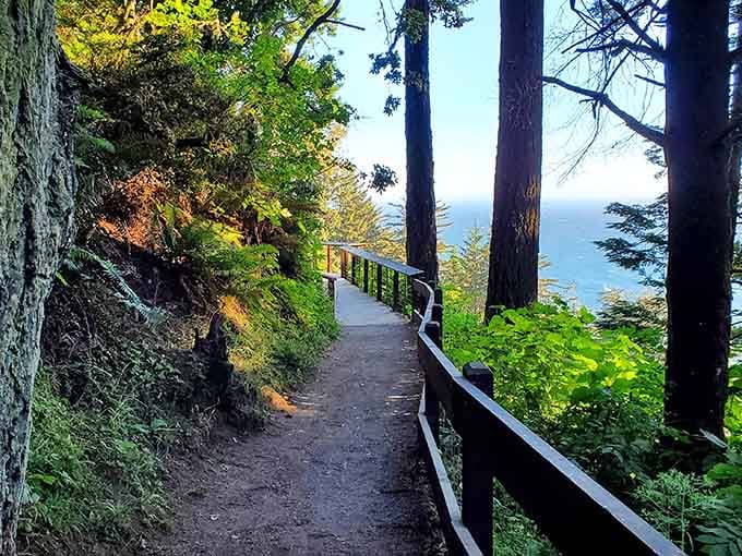 The trail welcomes you with wooden walkways that say, "Don't worry, we've got your back and your ankles."