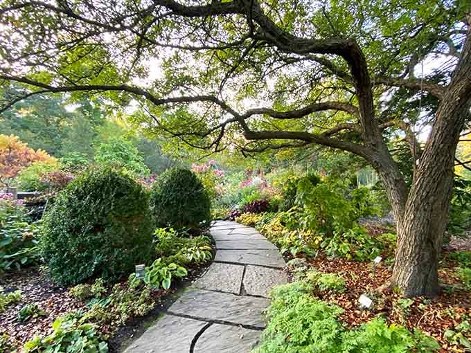 Stone pathways curve through sculpted greenery like a choose-your-own-adventure book written by Mother Nature herself.