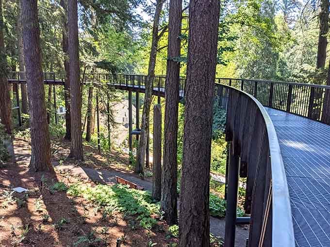 Walk among towering trees and winding paths that immerse you in nature's beauty.