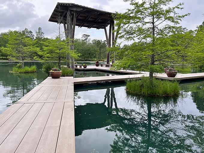 Those boardwalks curve through the wetlands like nature's own red carpet, minus the paparazzi and uncomfortable shoes.