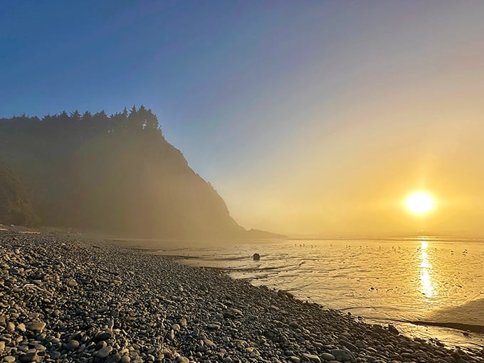 Golden hour at Short Beach transforms ordinary stones into a glittering pathway to pure Pacific magic.