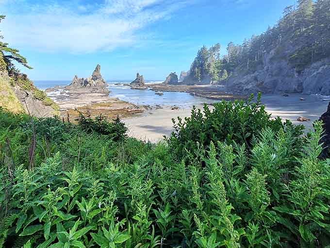 Sea stacks rise like nature's own sculpture garden, proving that millions of years beats any landscape architect's portfolio.