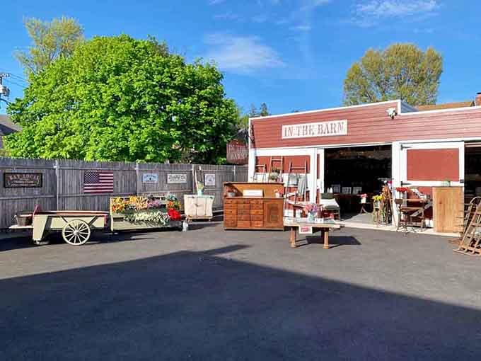 That charming red barn exterior promises treasures within, and trust me, it delivers on every single promise.