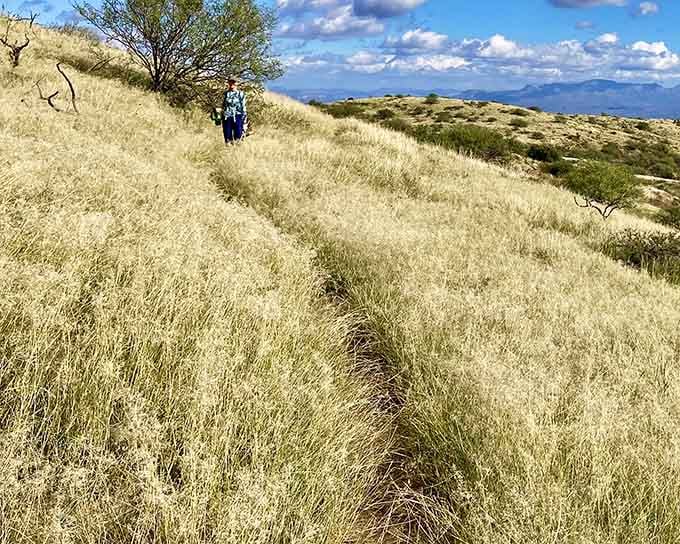 That lone hiker gets it: sometimes the best company is 4,000 acres of peaceful, golden grassland solitude.