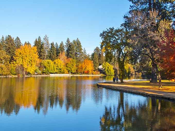 Golden autumn leaves frame Mirror Pond like nature's own picture frame, proving fall in Oregon is undefeated.