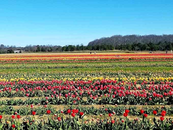 When Mother Nature decides to paint with every crayon in the box, this is what happens.