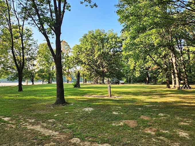 Open spaces meet towering trees in this corner of paradise where nature does all the decorating work.