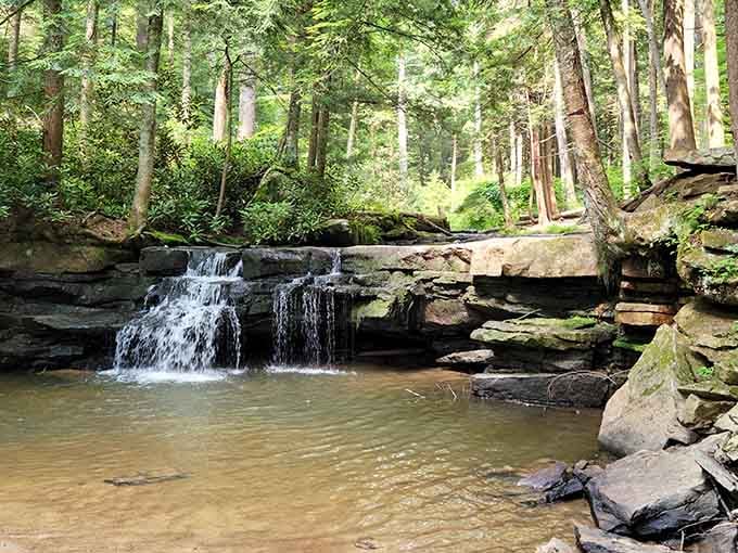Water tumbles over ancient rocks like nature's own meditation soundtrack, minus the subscription fee.