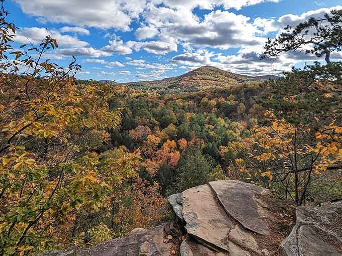 Those rolling autumn hills stretching toward forever will make you forget every screensaver you've ever seen.