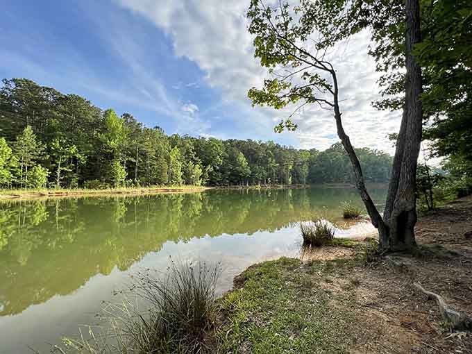 When the water mirrors the sky this perfectly, you've found nature's own meditation app, no subscription required.