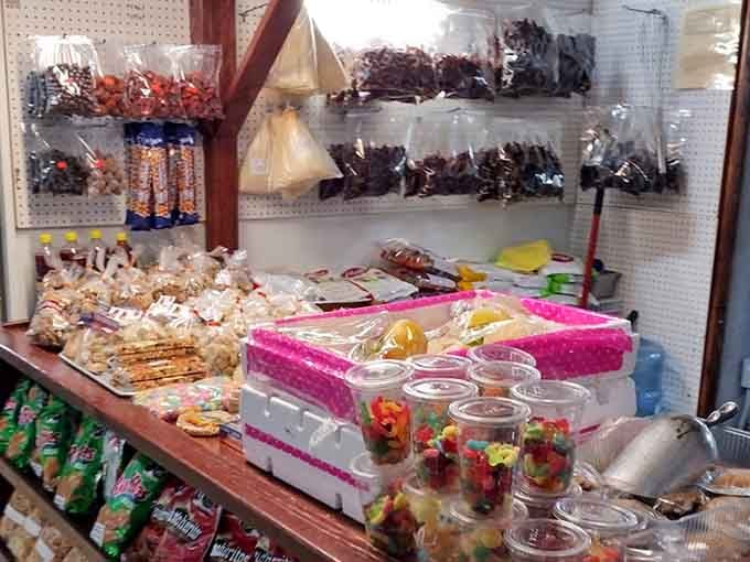 Candy and snacks in bulk remind you that childhood joy comes in colorful packages and reasonable prices.