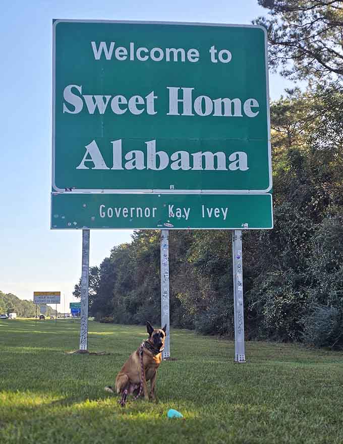Even the four-legged travelers get excited when they see this sign. Dogs know what's up, people.