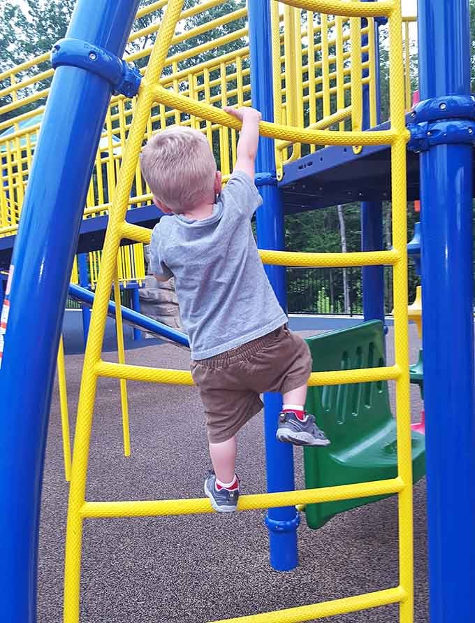 Every climber starts somewhere, and these bright yellow rungs are calling this little adventurer upward to glory.