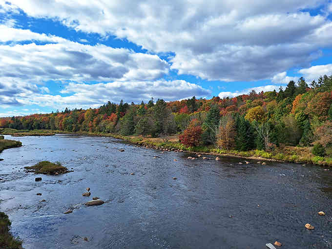 Rivers and fall colors combine for scenery so stunning you'll forget to check your email entirely.