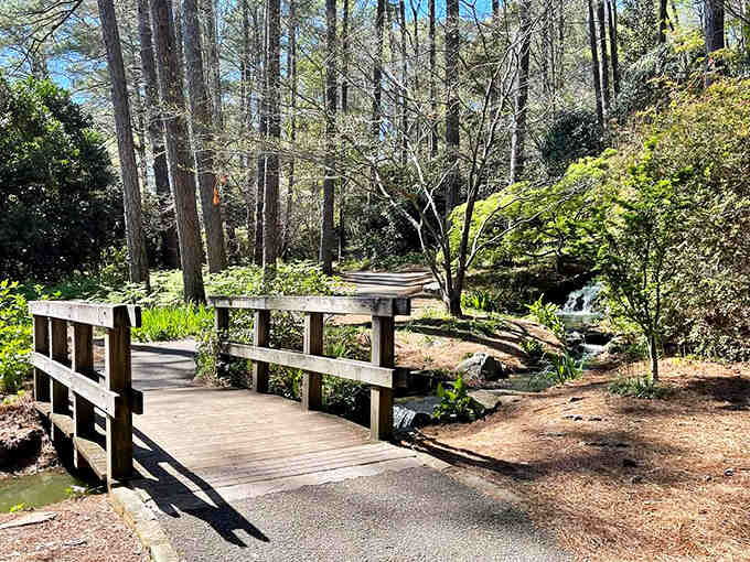 Simple wooden bridges over quiet streams: proof that the best things in life really are uncomplicated.