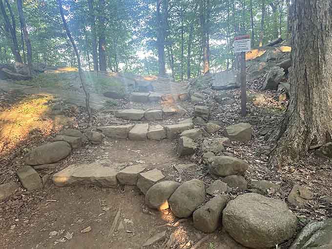 Stone steps wind through the woods like a stairway to heaven, minus the actual heaven part.