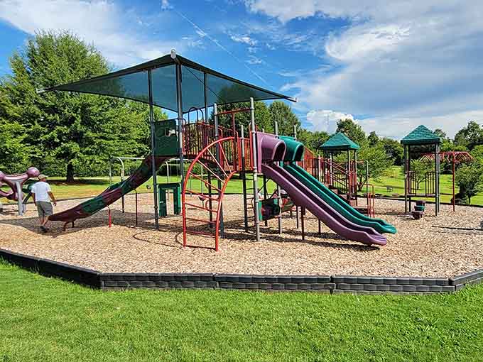 This playground equipment has seen more genuine childhood joy than a thousand iPads combined could ever hope to generate.