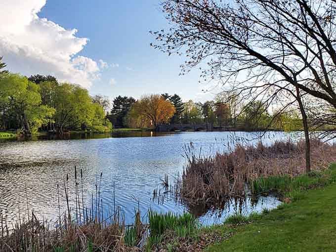 Peaceful waters that don't charge you a premium just for existing near them, refreshing concept really.