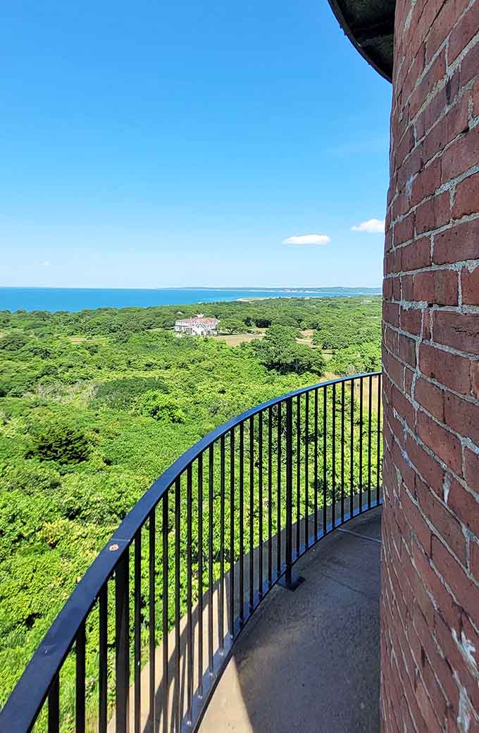 From the lighthouse gallery, endless green forests stretch toward distant shores under impossibly blue skies.