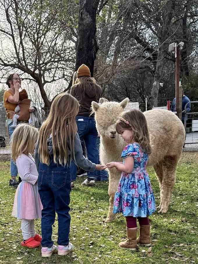 When the whole family gathers around to say hello, you know you've been officially accepted into the herd.