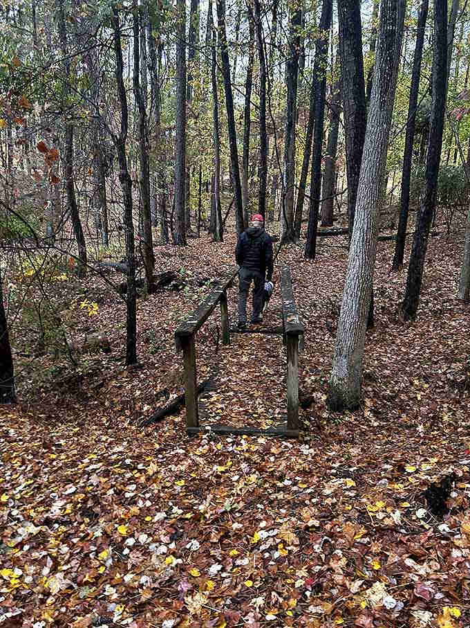 Forest trails where the only crowds you'll encounter are the occasional deer passing through quietly.