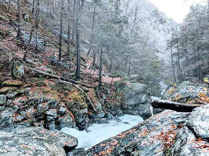 Winter transforms the gorge into a frosted wonderland where ice and flowing water coexist beautifully.