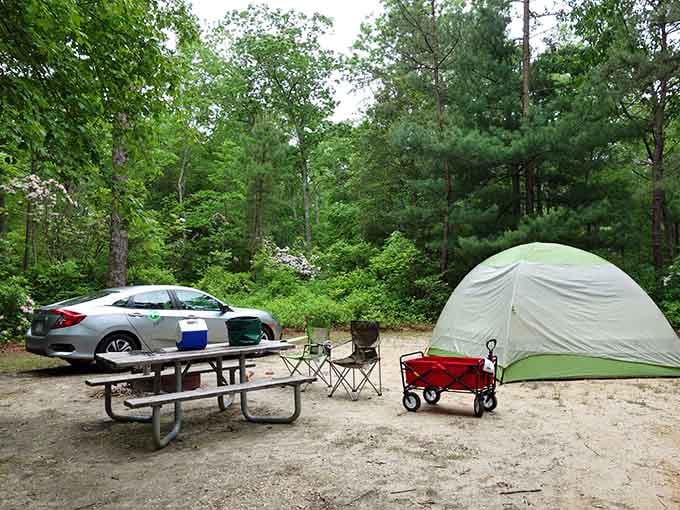 Your campsite setup says a lot about you, and this one says "prepared but still knows how to relax."