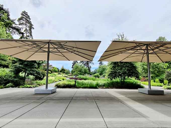 These elegant umbrellas provide shade for contemplating life's big questions, like why you didn't discover this place sooner.
