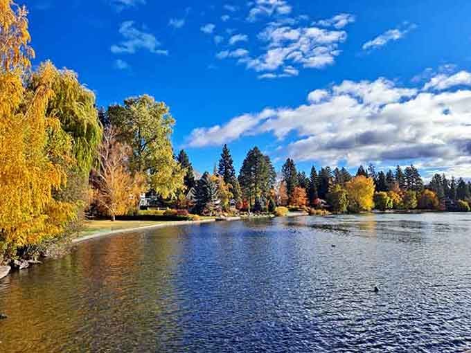 Autumn in Bend transforms the riverside into a painter's palette, making every walk feel like an art gallery visit.