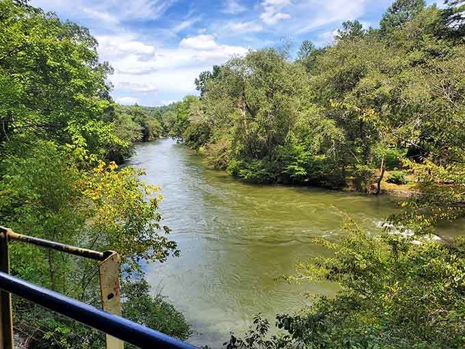 The Toccoa River from the train's vantage point flows peacefully, completely unbothered by your daily stress and deadlines.