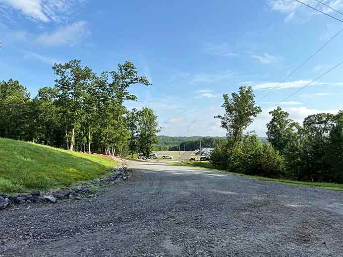 Well-maintained roads lead to campsites, proving accessibility doesn't have to compromise the wilderness experience you're seeking.