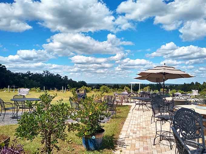 Vineyard views stretch across gentle hills, because apparently Florida can do wine country when it wants to.