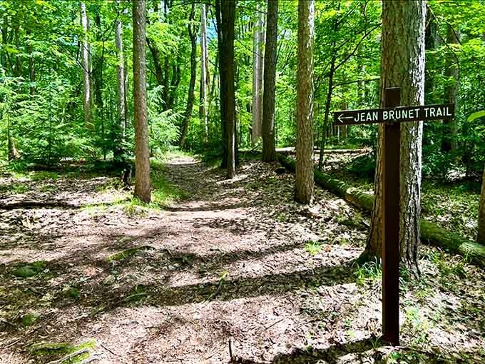 Jean Brunet Trail promises adventure without requiring hiking boots that cost more than your first car payment did back then.