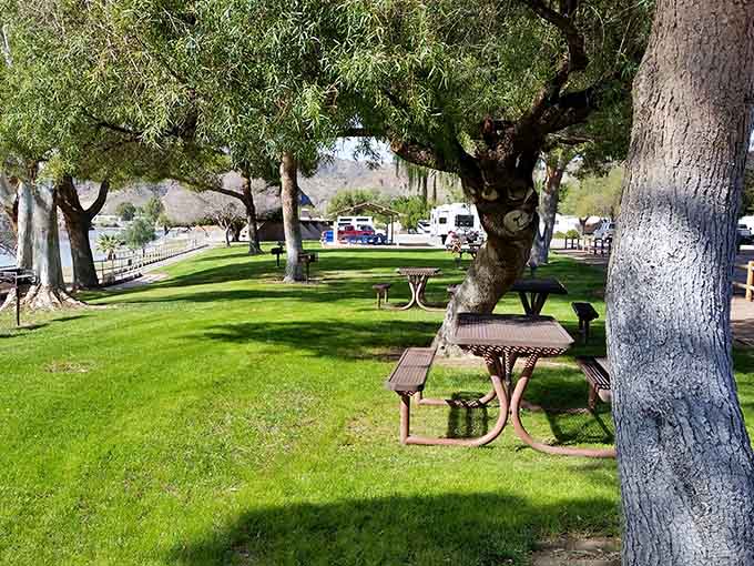 Those mature trees providing natural shade over emerald grass create the perfect spot for family gatherings that actually feel relaxing.