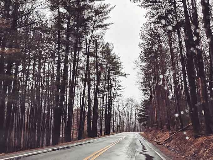 Winter driving that's equal parts beautiful and "maybe I should've checked the weather forecast this morning."