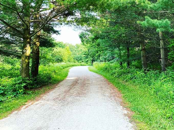 Tree-lined paths beckoning you forward like something from a Robert Frost poem, minus the existential crisis.