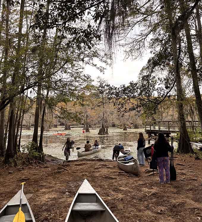 Launching your canoe into these mystical waters feels like stepping into a time machine bound for adventure.