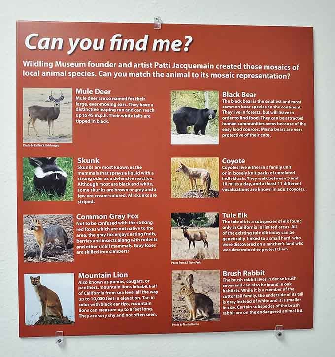 Interactive displays teach visitors about local wildlife species through engaging mosaic matching games.