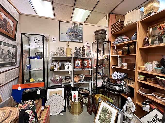 Shelves packed with treasures from floor to ceiling, making every visit feel like a scavenger hunt with excellent prizes.