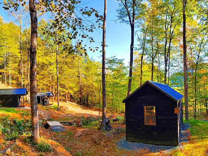 Tiny cabins nestle in autumn woods, offering cozy retreats where cell service takes a well-deserved vacation too.