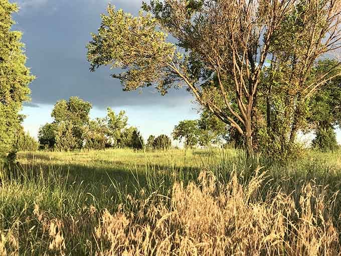 Prairie grasses sway under dramatic skies that remind you nature's still the best special effects artist.