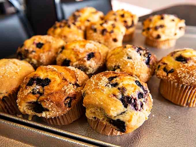 Fresh blueberry muffins that understand mornings are hard and carbohydrates are the answer to everything difficult.
