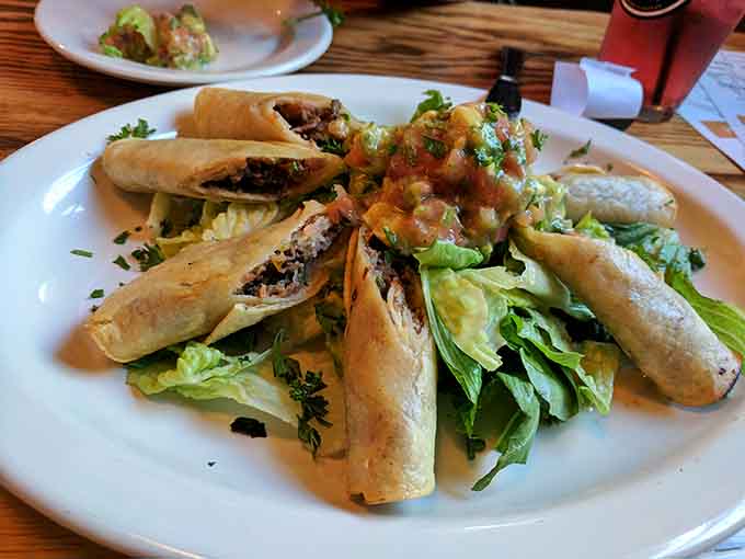Crispy spring rolls arranged over fresh greens prove that sometimes the best things really do come in golden, crunchy packages.