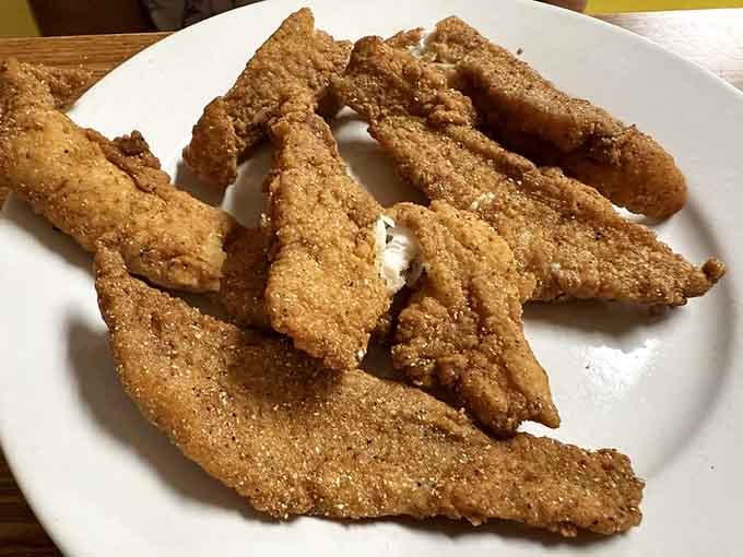 Crispy fried catfish that would make any fish jealous of its delicious fate, served up hot and perfectly golden.