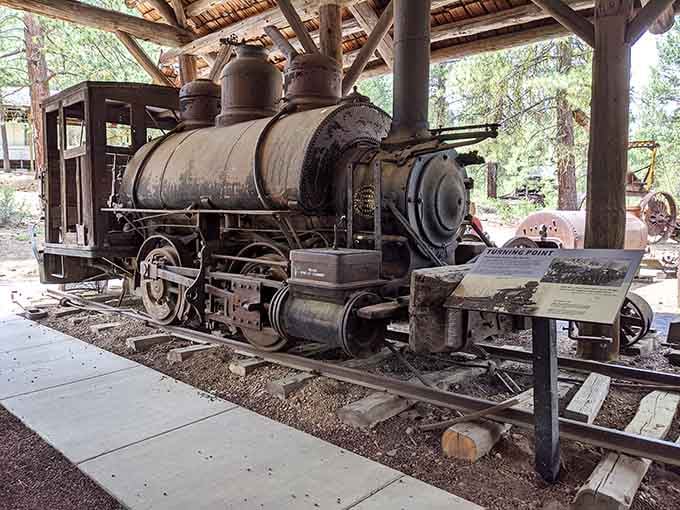 This iron workhorse hauled timber when your grandparents were considered cutting-edge technology themselves.