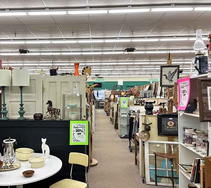 Long aisles of organized chaos where every turn reveals another reason to extend your visit indefinitely.