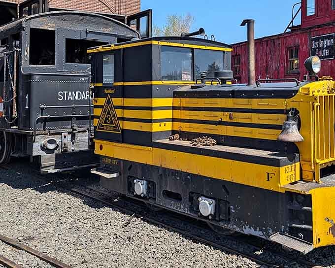 Industrial yellow stripes on this workhorse locomotive prove that even utility equipment deserves some personality.