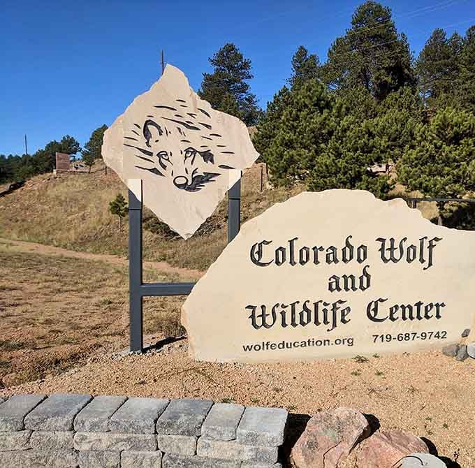 This sign marks the entrance to experiences your friends back home simply won't believe without photographic evidence.