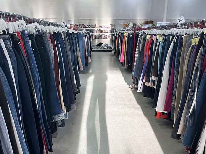 Jeans, slacks, and everything in between, organized and ready to find their next adventure on someone's legs.