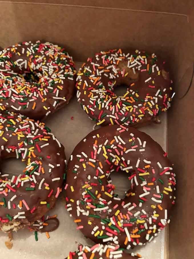 Chocolate sprinkle donuts lined up like edible confetti, ready to make any day feel like a celebration worth attending.